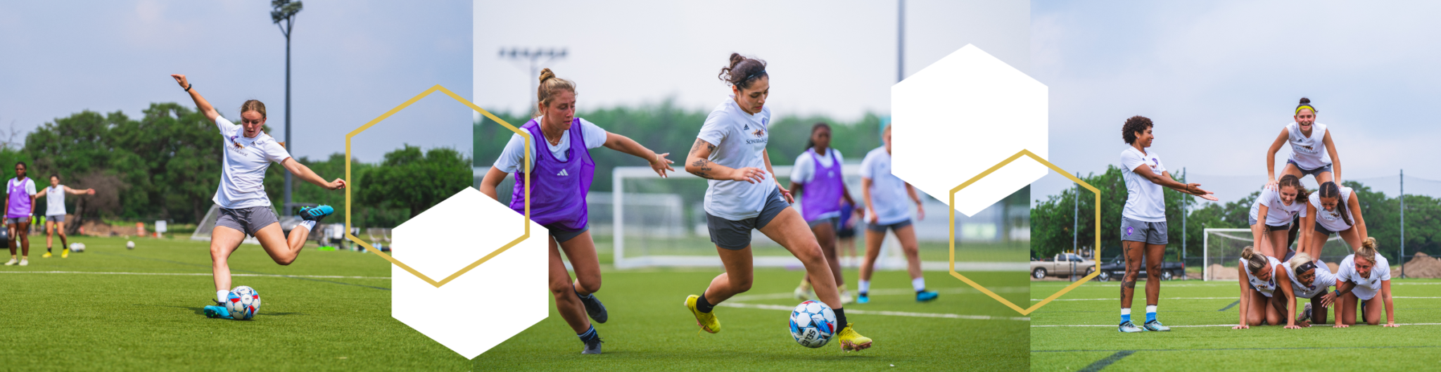 DPL – Soccer Central